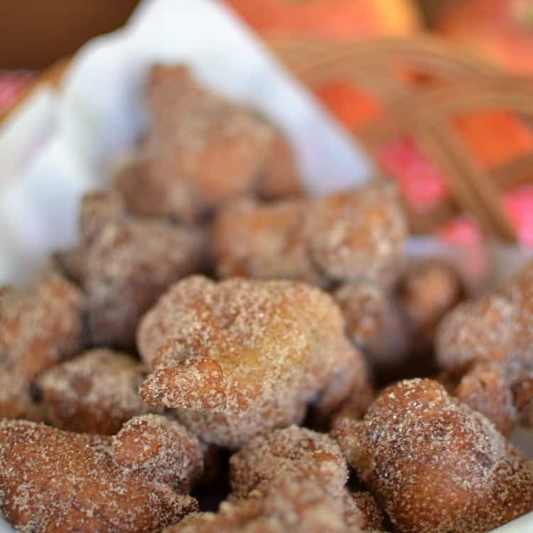 Apple Fritter | Small Town Woman