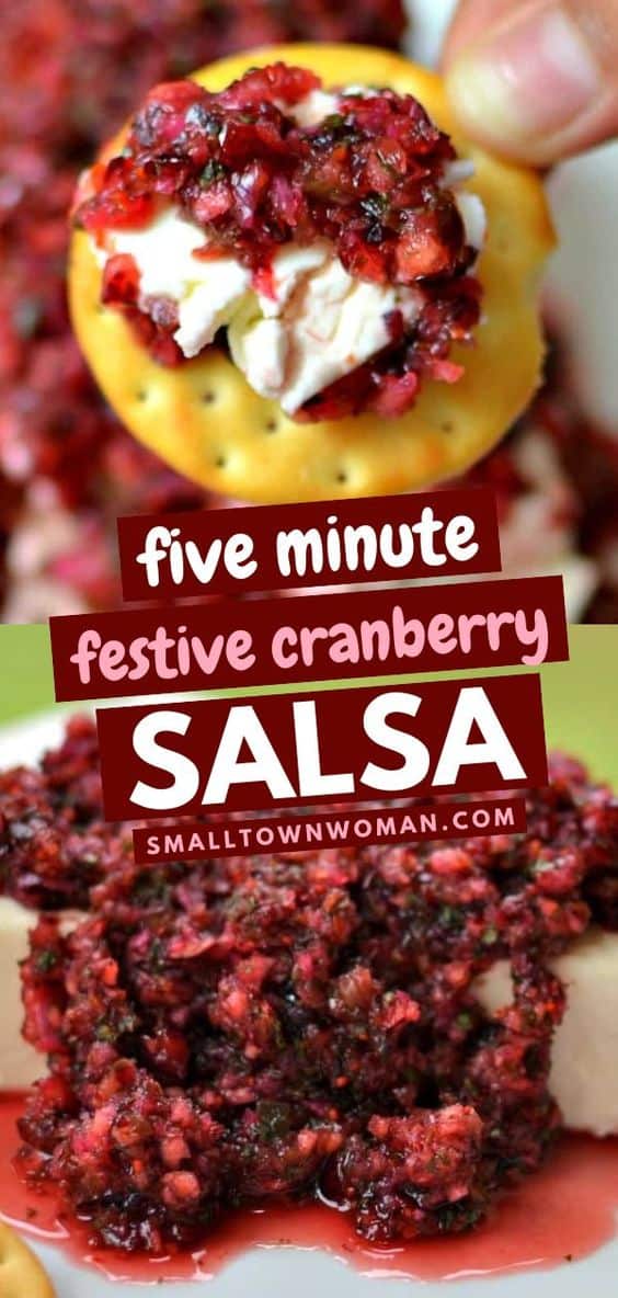 Cranberry Salsa (A Five Minute Gorgeous Holiday Appetizer)