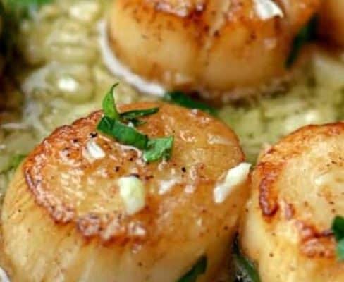 Seared Scallops with Garlic Lemon Butter