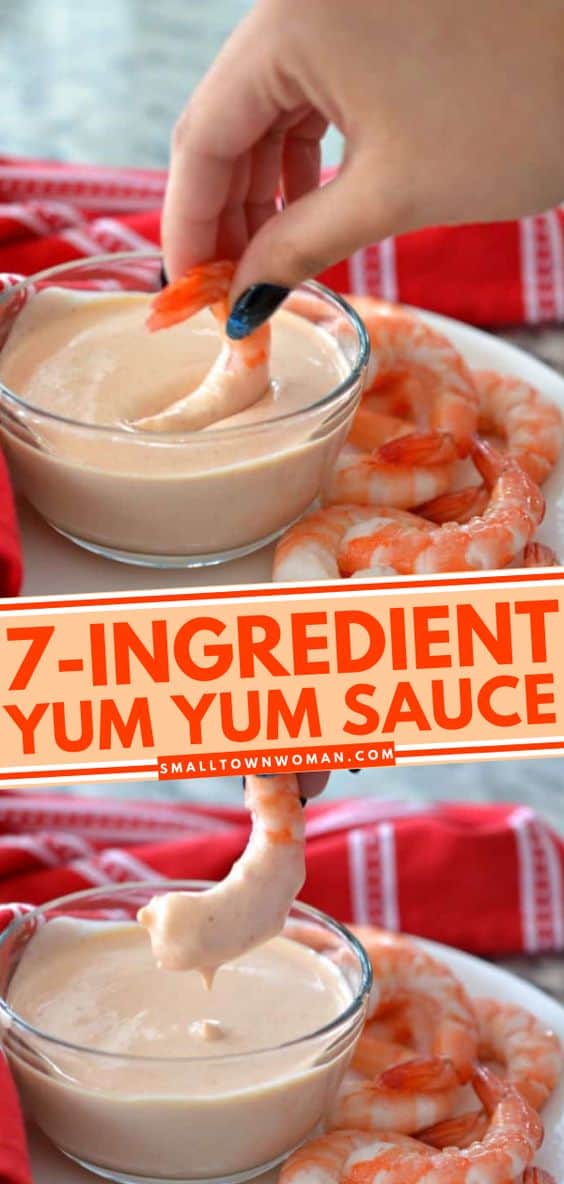 Yum Yum Sauce (Hibachi Steak House Style) | Small Town Woman