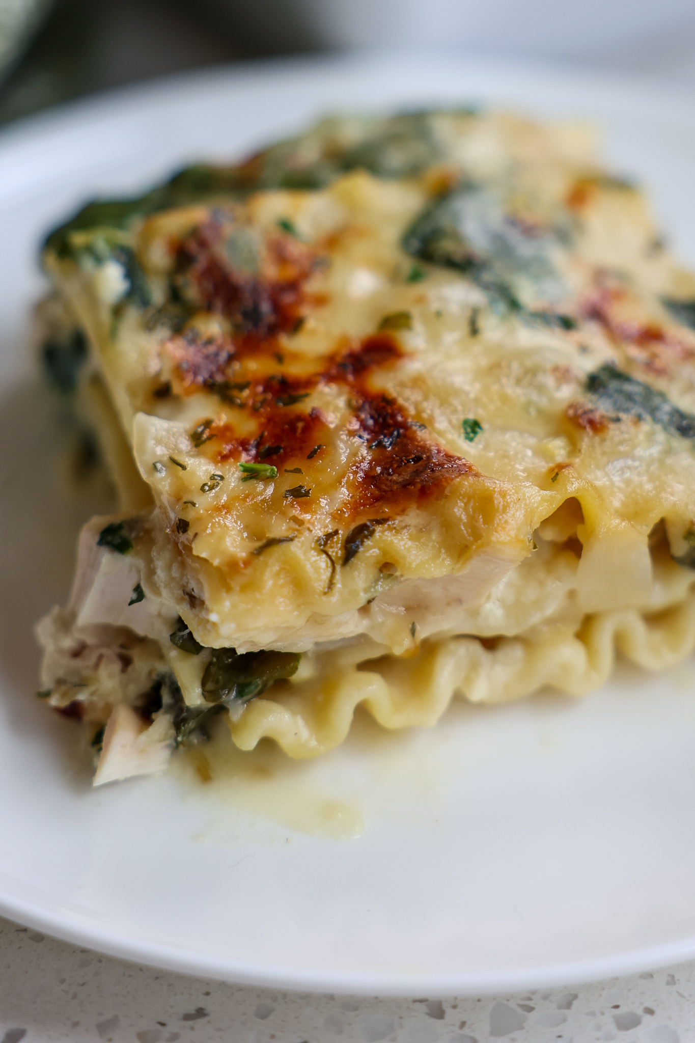 White Chicken Lasagna Recipe | Small Town Woman