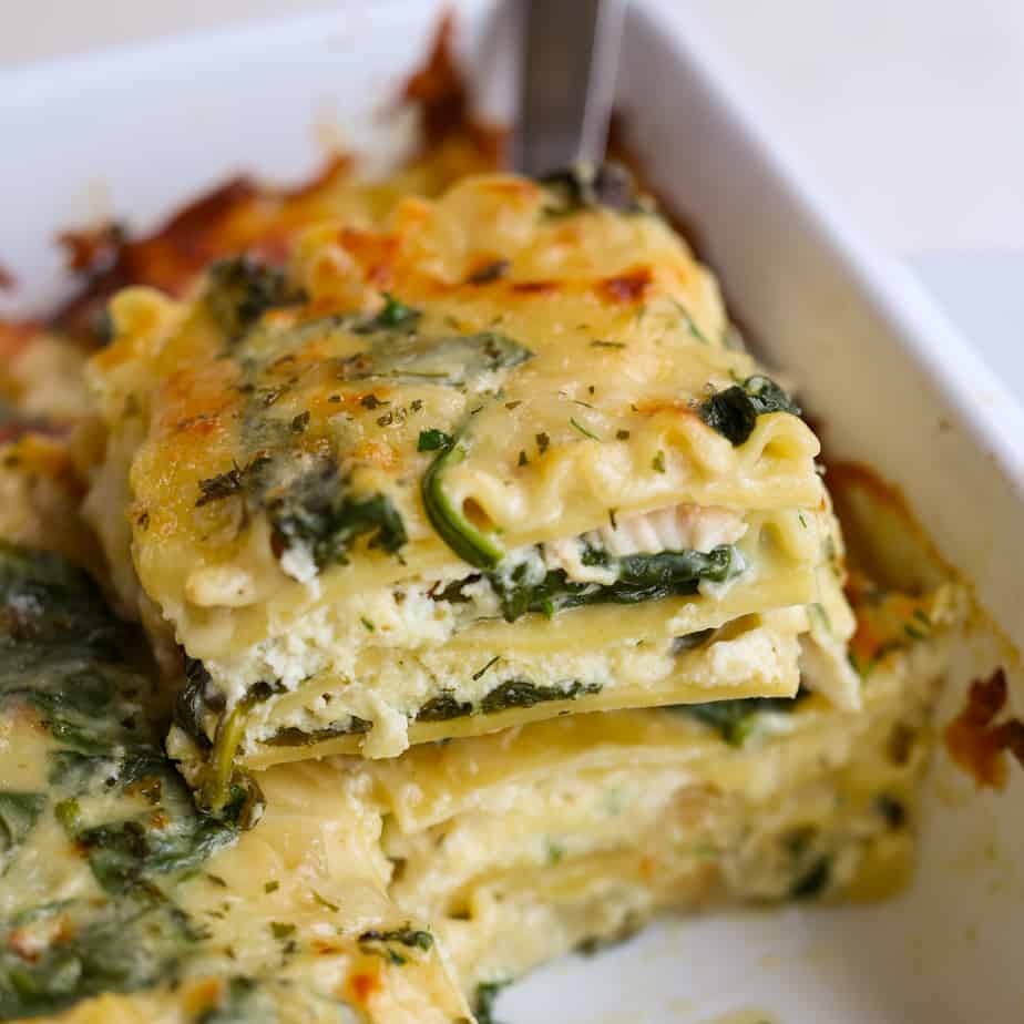 Chicken Lasagna Recipe