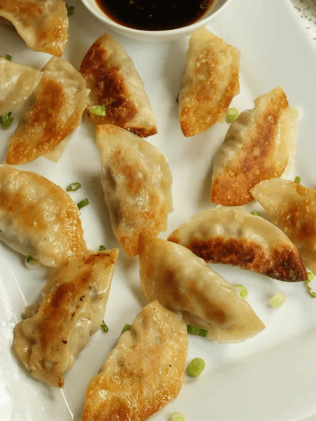 GYOZA (JAPANESE DUMPLINGS) - Small Town Woman