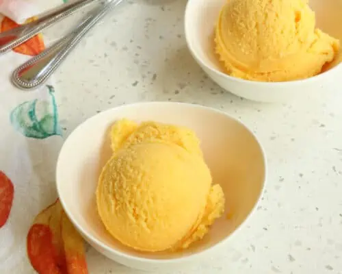 Homemade Orange Sherbet | Small Town Woman