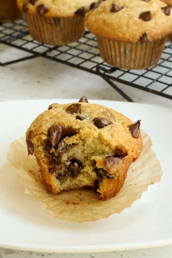 Chocolate Chip Muffins - Small Town Woman