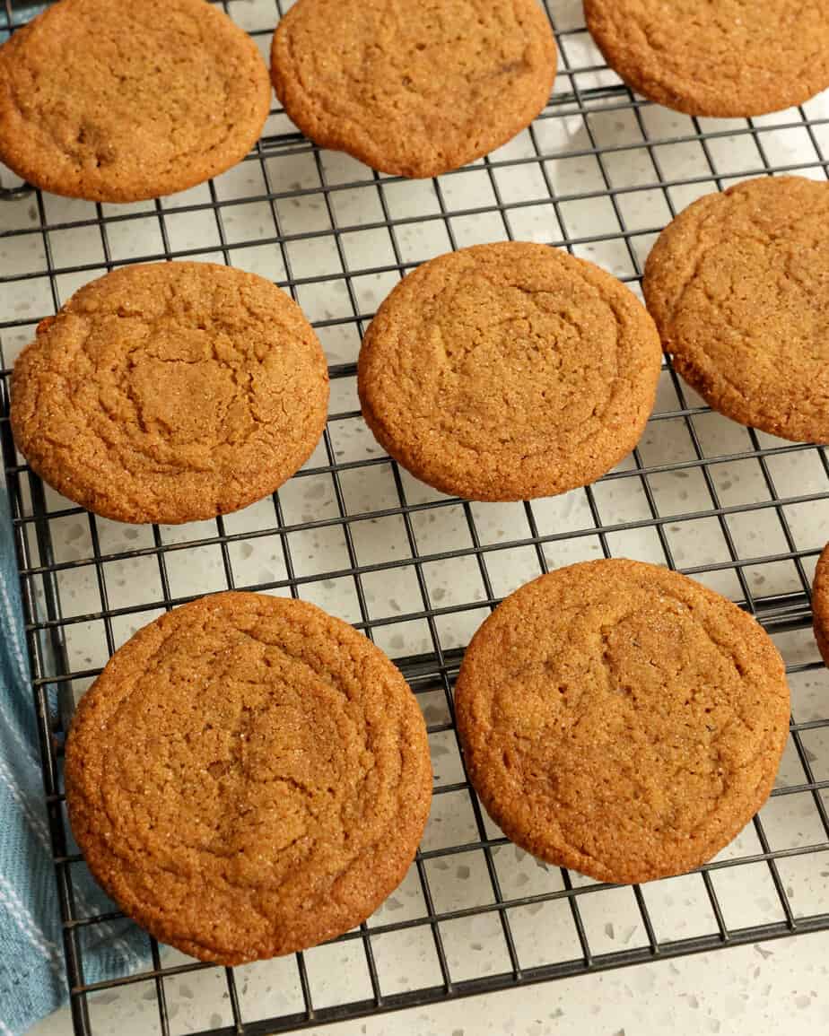 Gingerbread Cookie Texture Gingerbread Cookie Texture