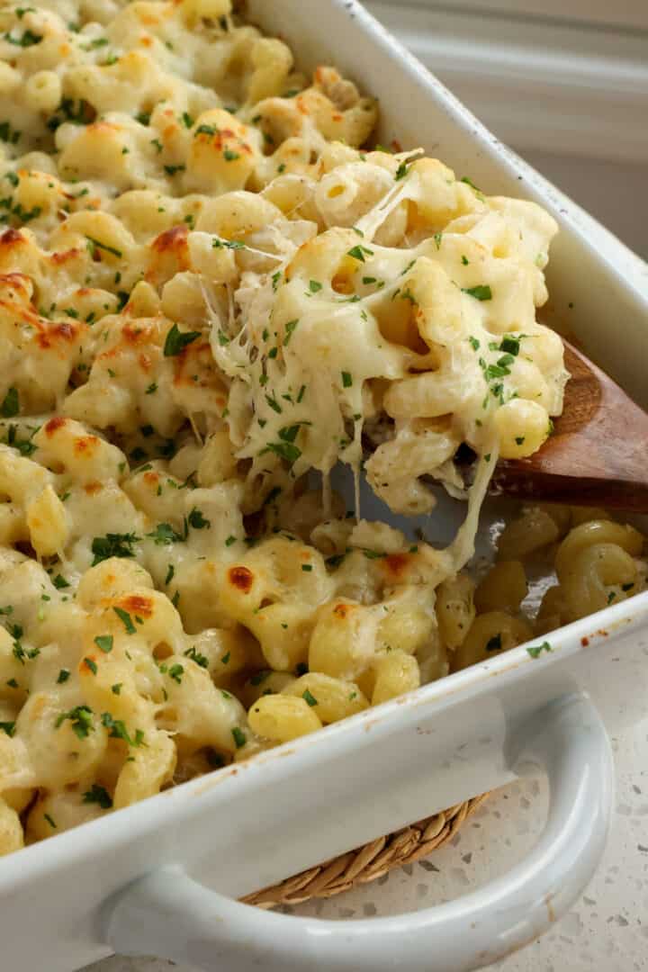 Chicken Alfredo Pasta Bake | Small Town Woman