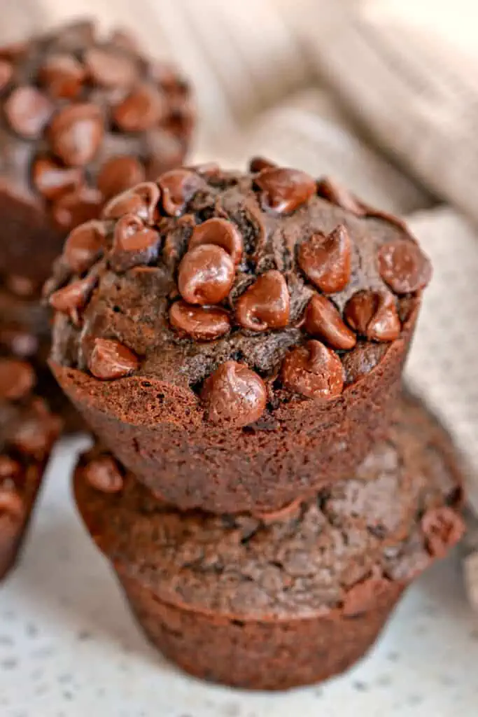 Double Chocolate Chip Muffins | Small Town Woman