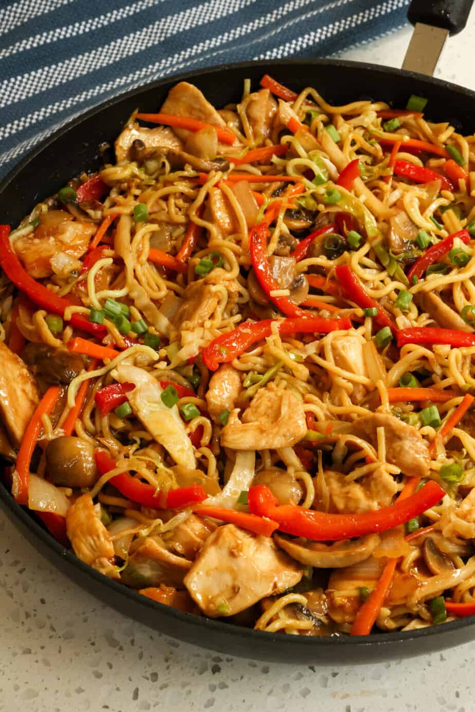 Chicken Lo Mein - Small Town Woman